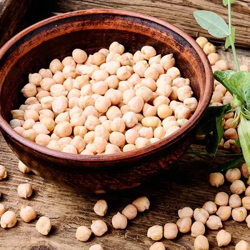 Why Are Legumes Soaked in Water?